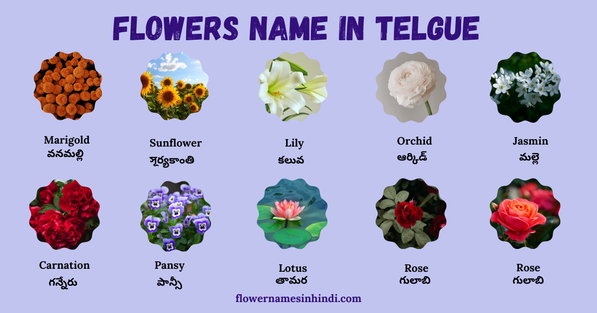 108 Gorgeous Flowers Name in Telugu | తెలుగులో పువ్వుల పేర్లు