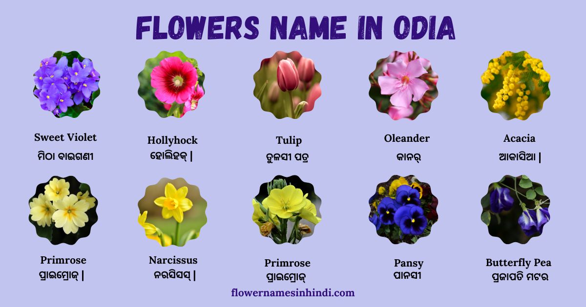 45+ Beautiful Flowers Name in Odia (Oriya) 🌸 | ଫୁଲର ନାମ