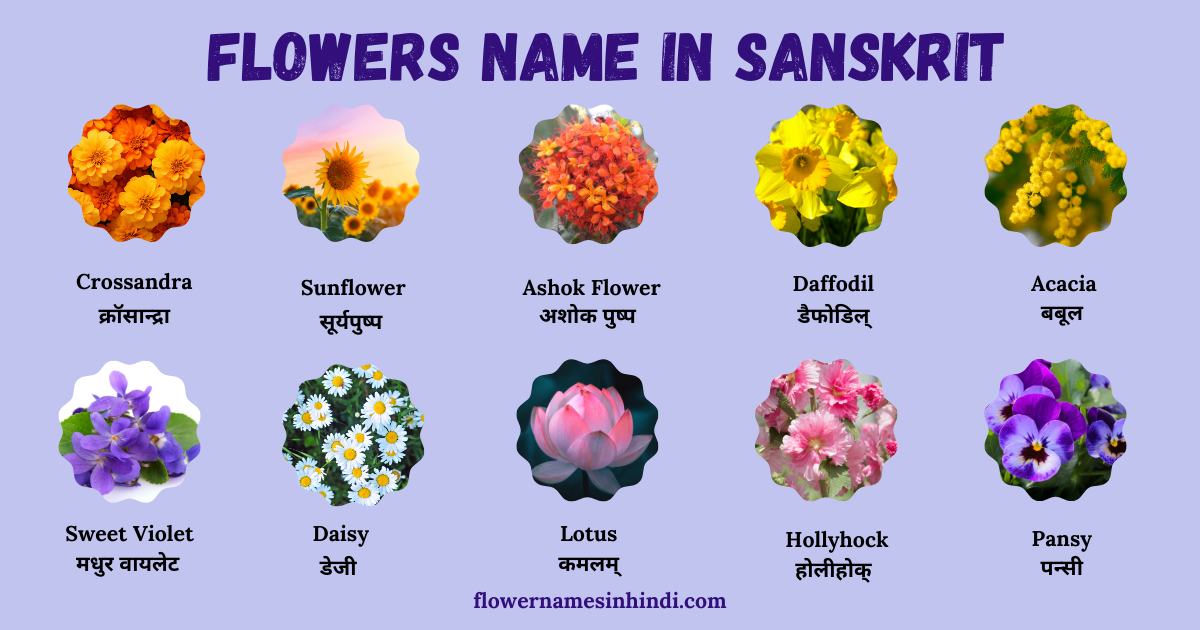 50+ Astonishing Flowers Name In Sanskrit | फूलों के नाम संस्कृत में